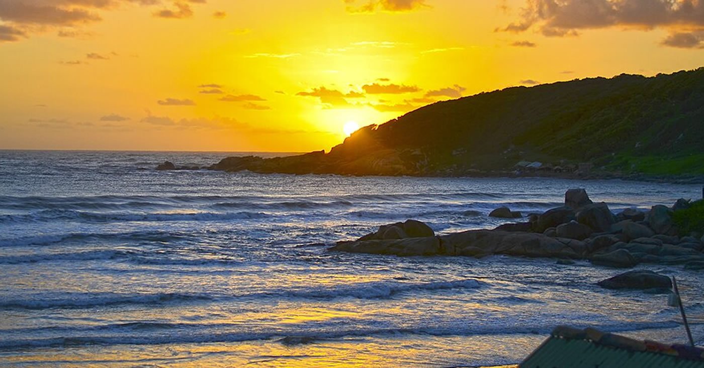 Praia do Rosa 2025/2026: Rosa Summer Festival e Tantrarosa prometem ...